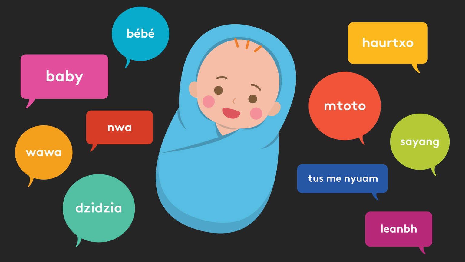 Inside Look on Multilingualism: Creating Planet Word’s Newest ...