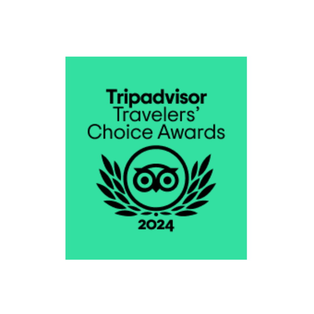 Planet Word Museum — Tripadvisor Travelers’ Choice Winner 2024 Planet Word Museum — Tripadvisor Travelers’ Choice Winner 2024